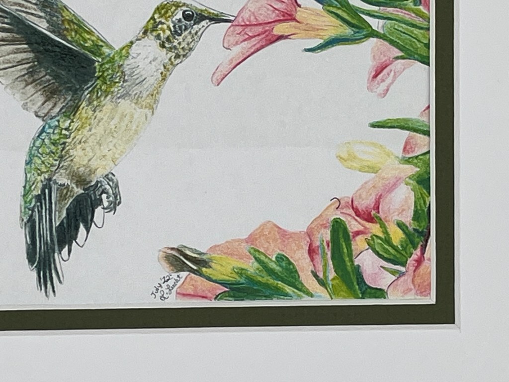 Backyard Birds: Hummingbird Happiness